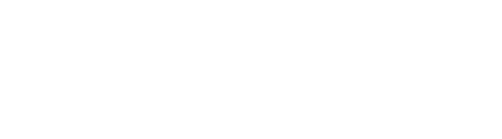 Ariela Gross - UCLA History Department