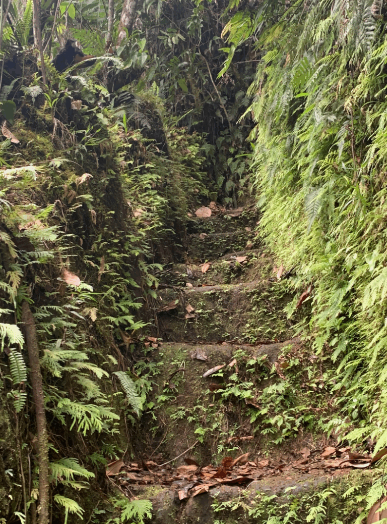 Territoriality and Freedom in the Bush: A Community-Focused Archaeology ...